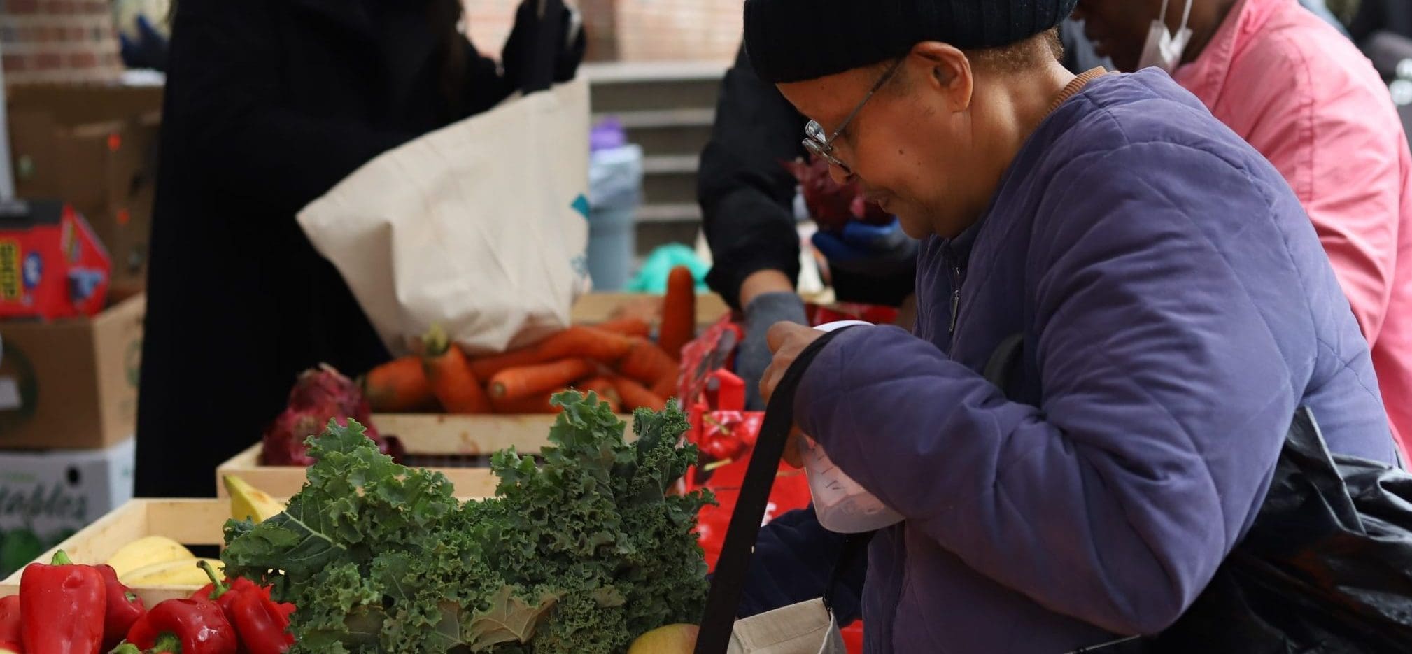 Food Access - Phipps