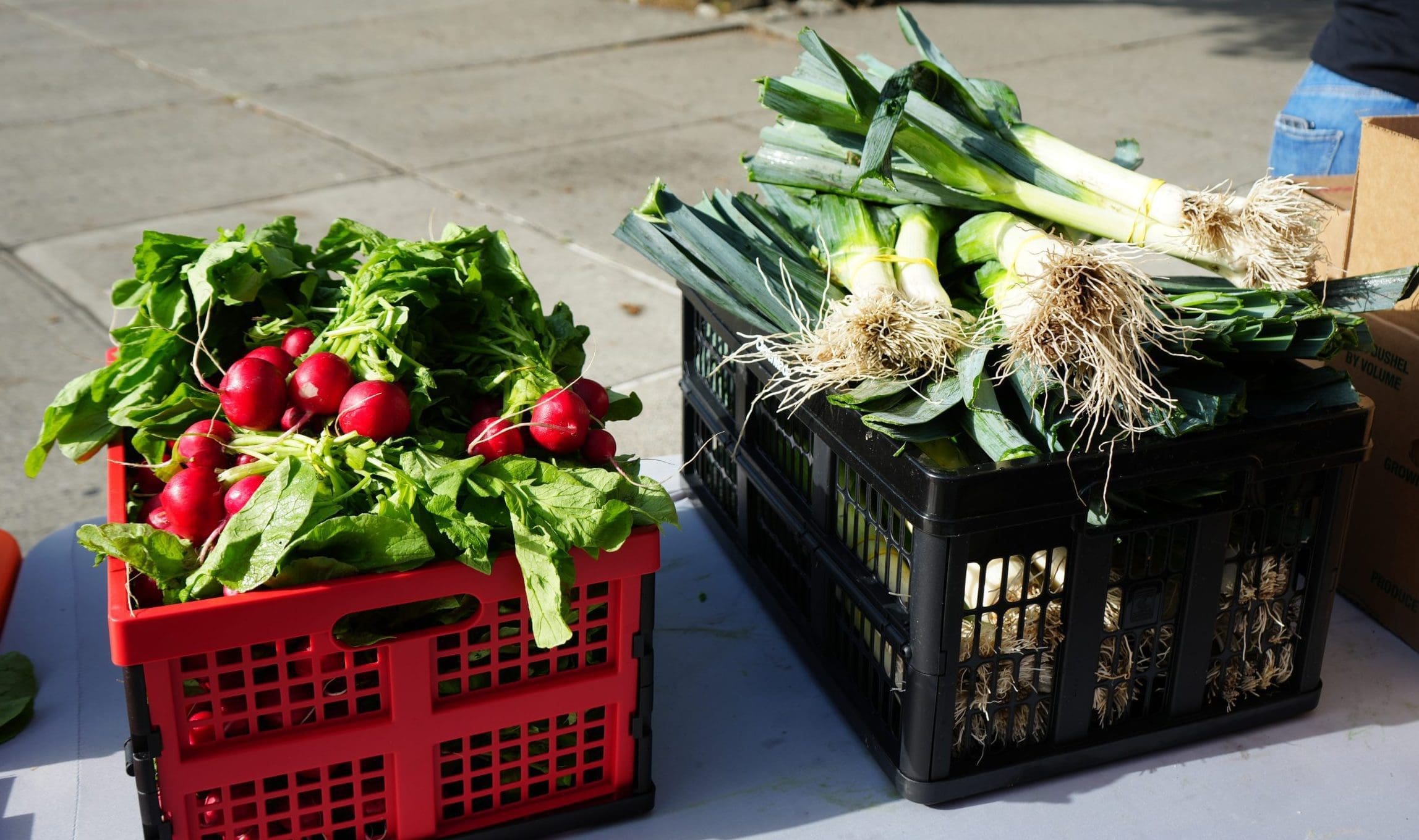 Food Access - Phipps